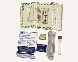 Order a Helicobacter pylori test to check for H. pylori infection